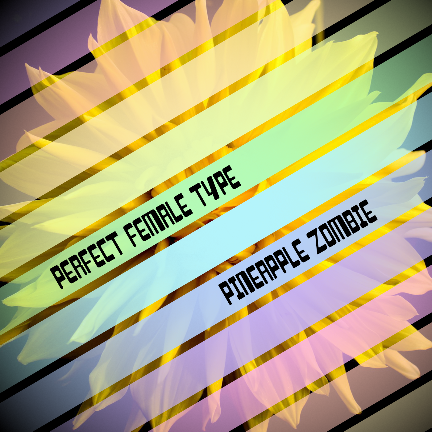 New Music Alert! Pineapple Zombie by Perfect Female Type – Jason Herrboldt