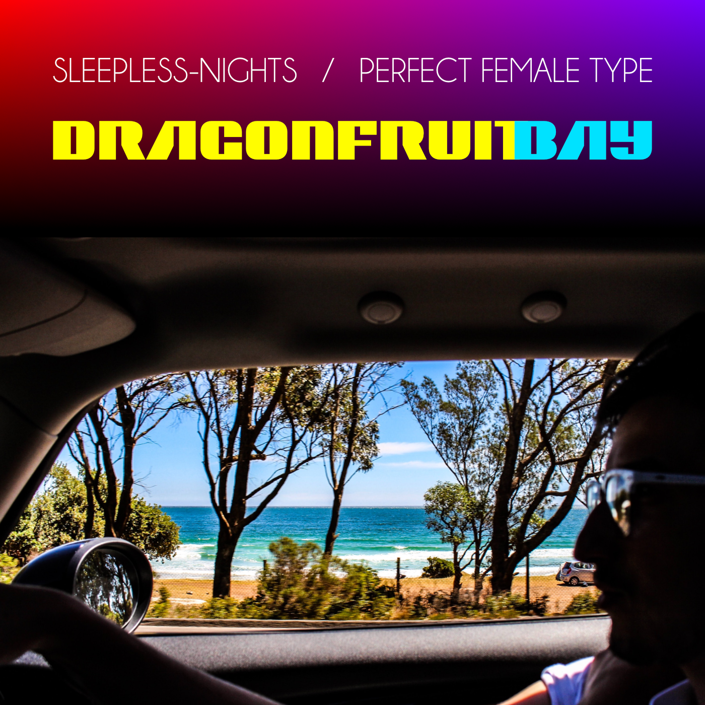 Dragonfruit Bay – Thank You Supporting Curators! – Jason Herrboldt